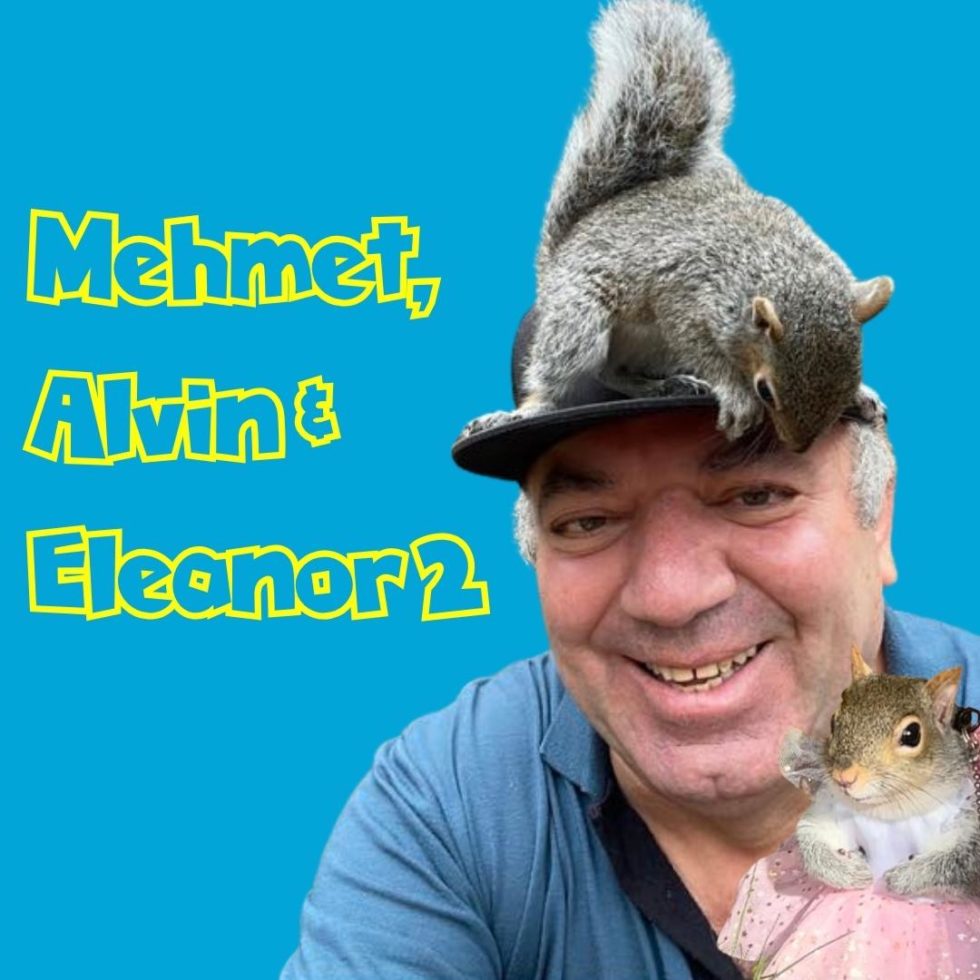 Mehmet and Alvin and Eleanor 2 | Official Drey of Alvin and Eleanor ...